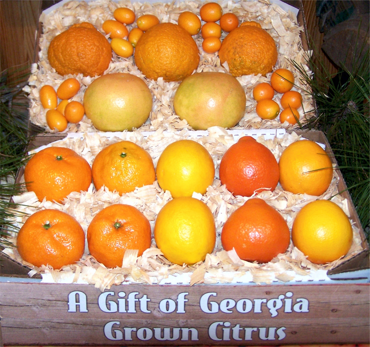 The Fruit Factory Ultimate Citrus Collection – Fruit-Factory.com